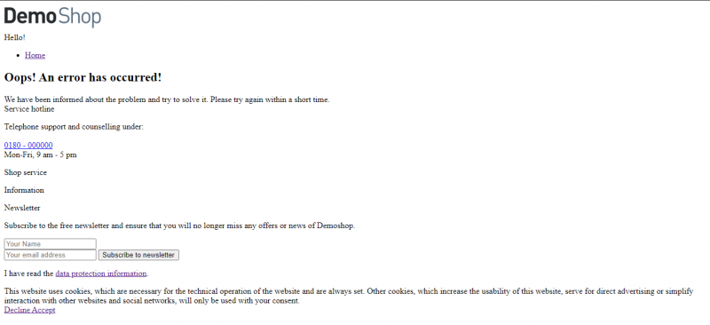 Discard JavaScript and CSS from Themes in Shopware 5
