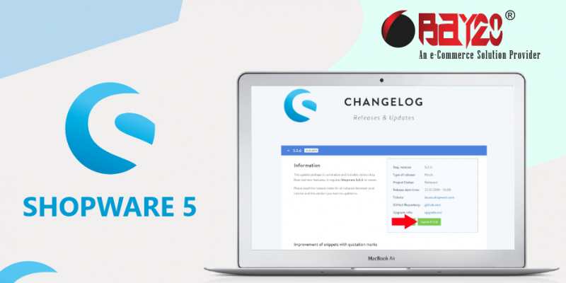 How To Update The Shopware 5 Version | Bay20 Software