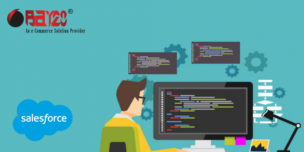 How to make Global variables in salesforce? - Bay20 Software
