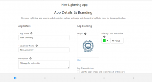 How to Create App in Lightning Experience | Bay20 Software