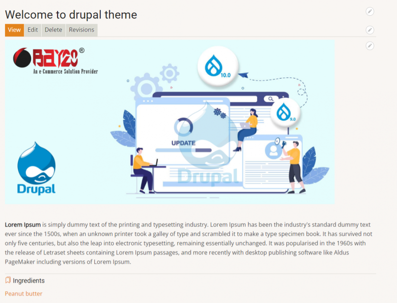 How to Create And Use Taxonomy in Drupal | Bay20 Software